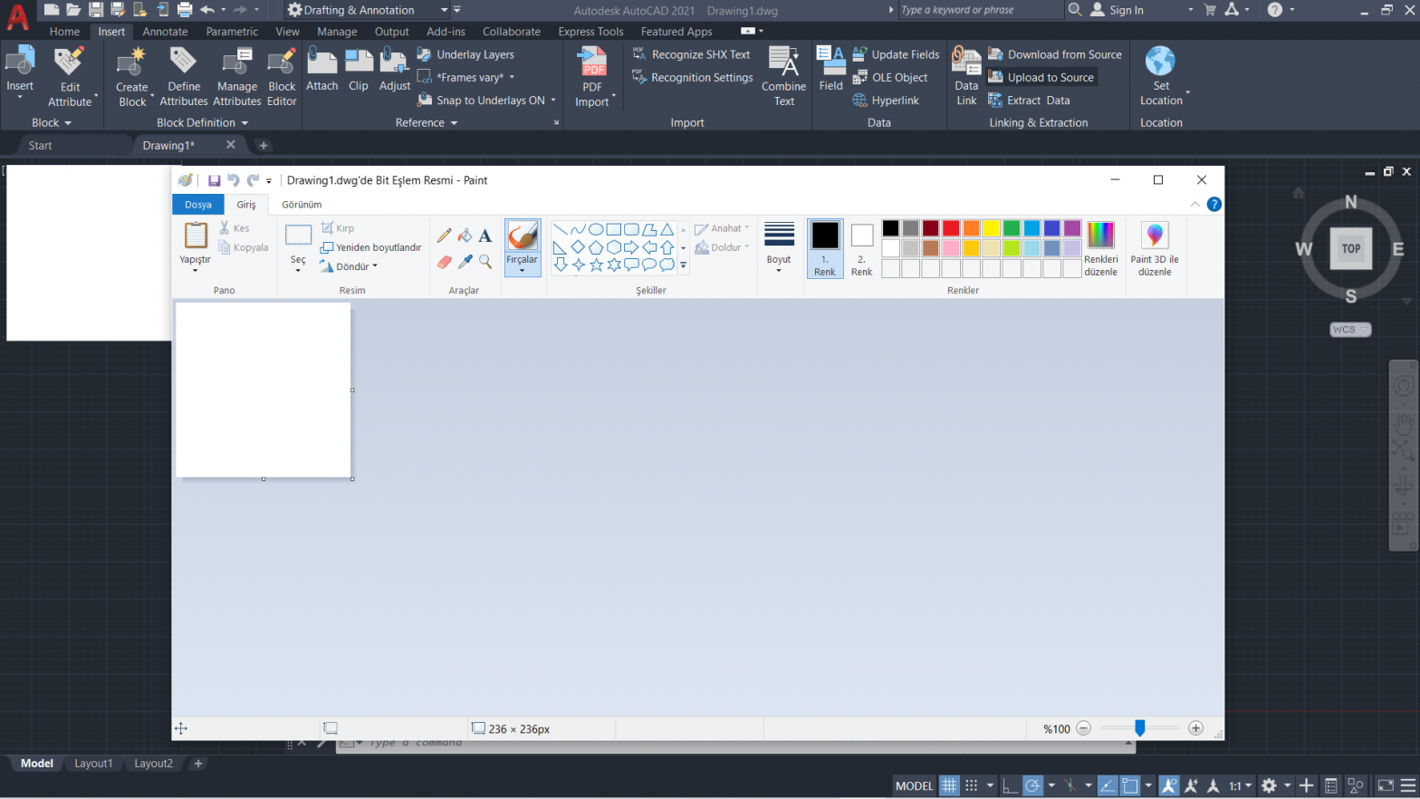 Autocad Image Insertion (imageattach & insertobj) - Junior to Expert